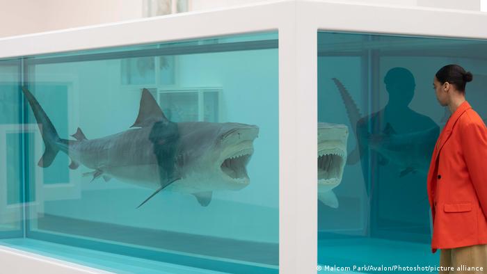 Acusan a artista británico de falsear la fecha de obras con animales ...